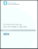 The Operational Data Lake - Database Trends and Applications