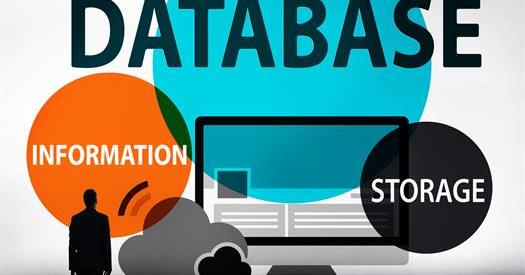 Next-Generation Databases for Big Data - Database Trends and Applications