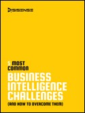 The 5 Most Common BI Problems (And How to Overcome Them) - Database ...