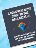 A Comprehensive Guide to the Data Catalog - Database Trends and ...