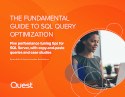 The Fundamental Guide to SQL Query Optimization - Database Trends and ...